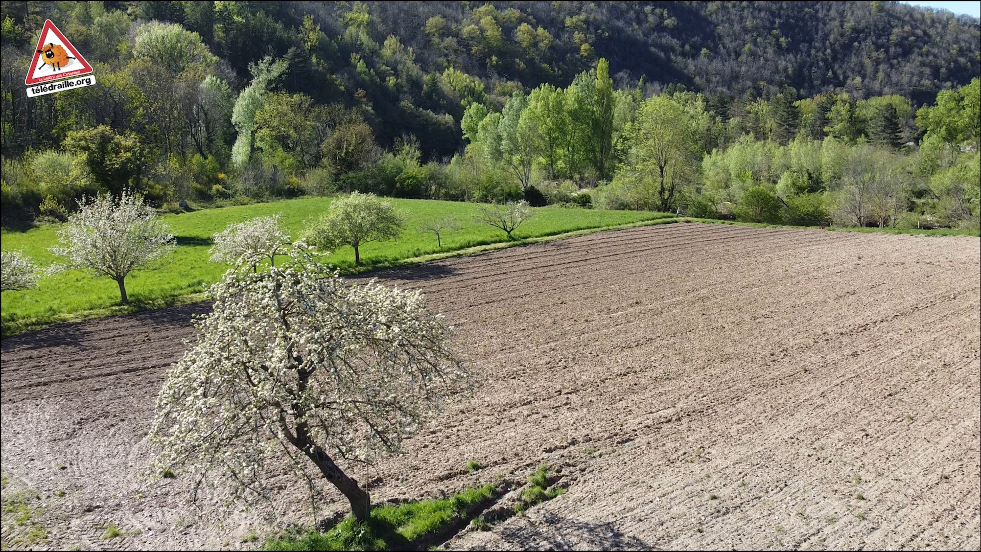 Installation d'un maraîcher à Florac - Teledraille